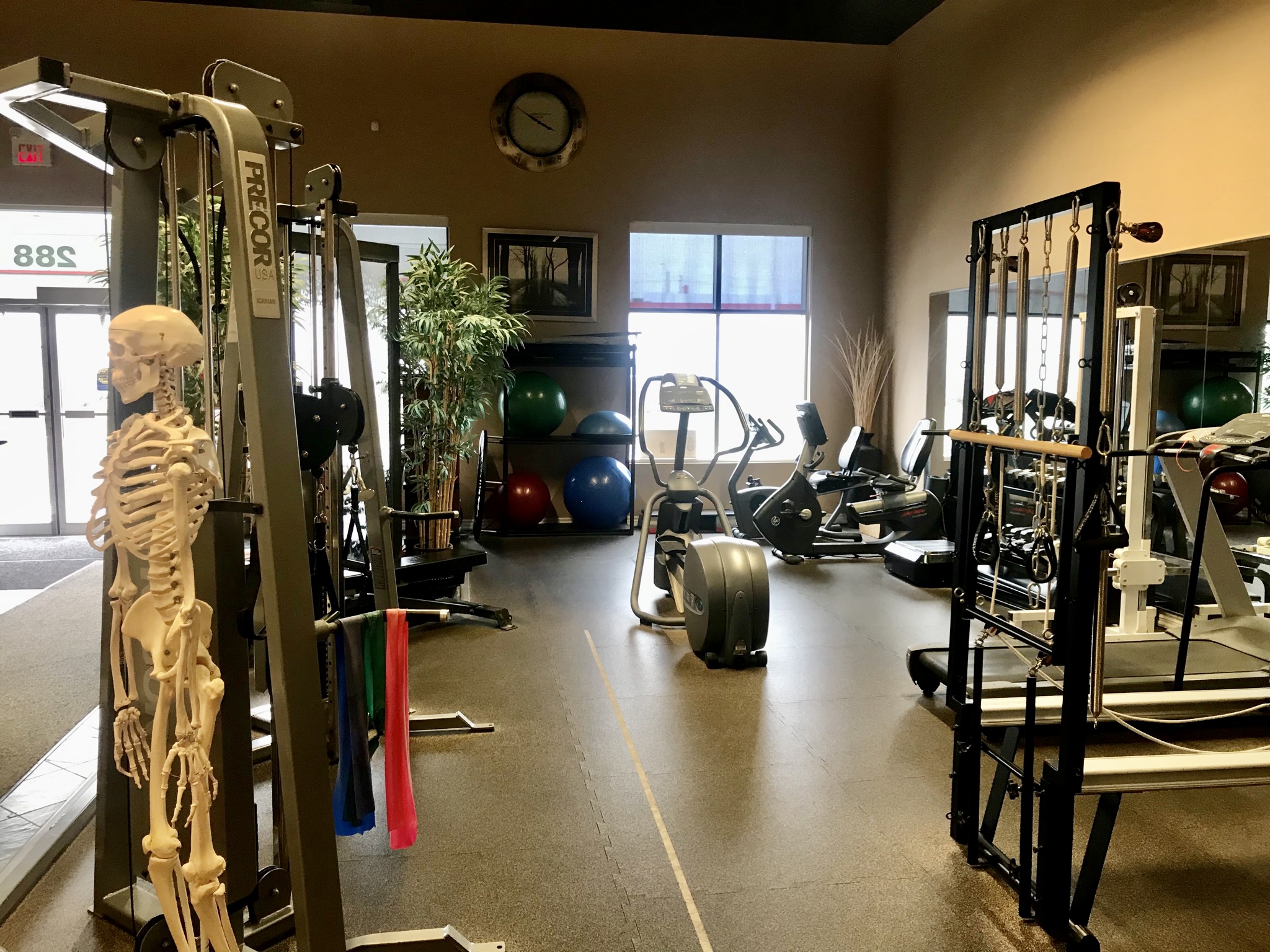 About Us | Peak Performance Physiotherapy - Hamilton