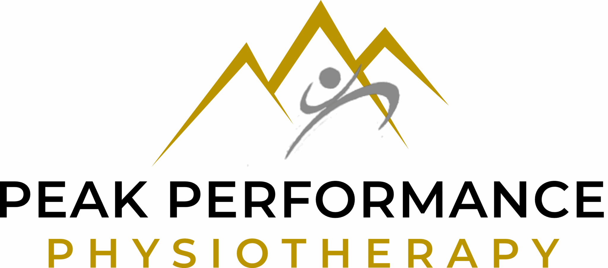 Peak Performance Physiotherapy - Hamilton